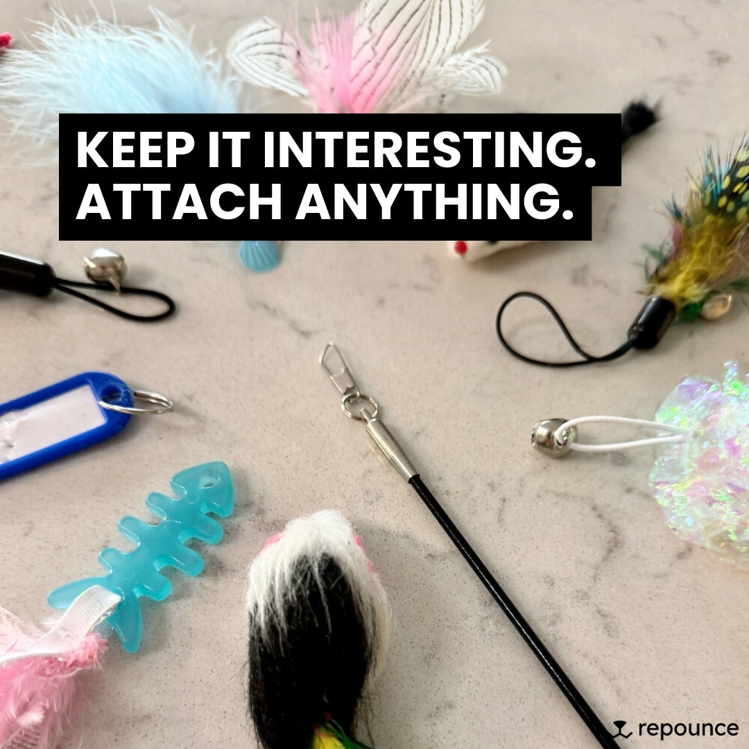 Forever Stick™ - The Unbreakable Cat Wand – repounce