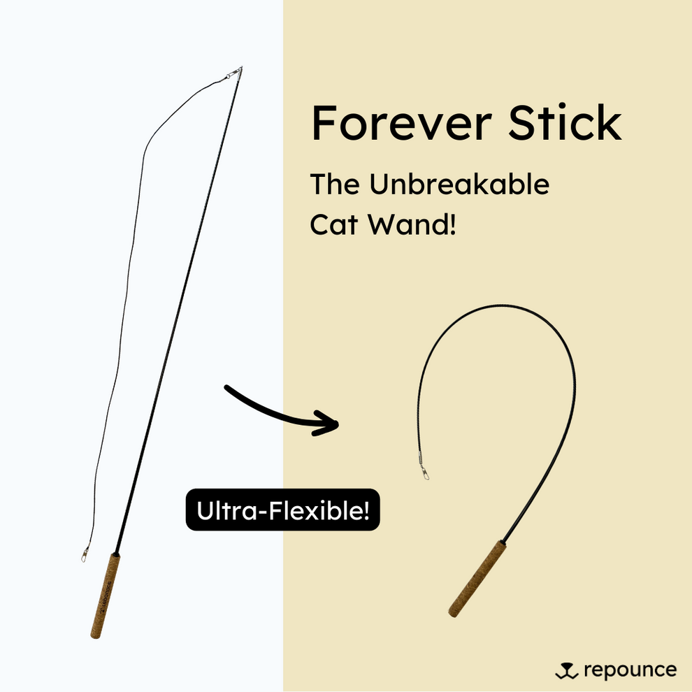 Forever Stick™ - The Unbreakable Cat Wand – repounce