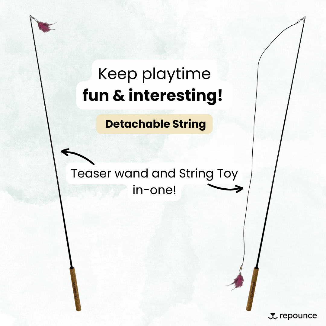 Forever Stick™ - The Unbreakable Cat Wand – repounce