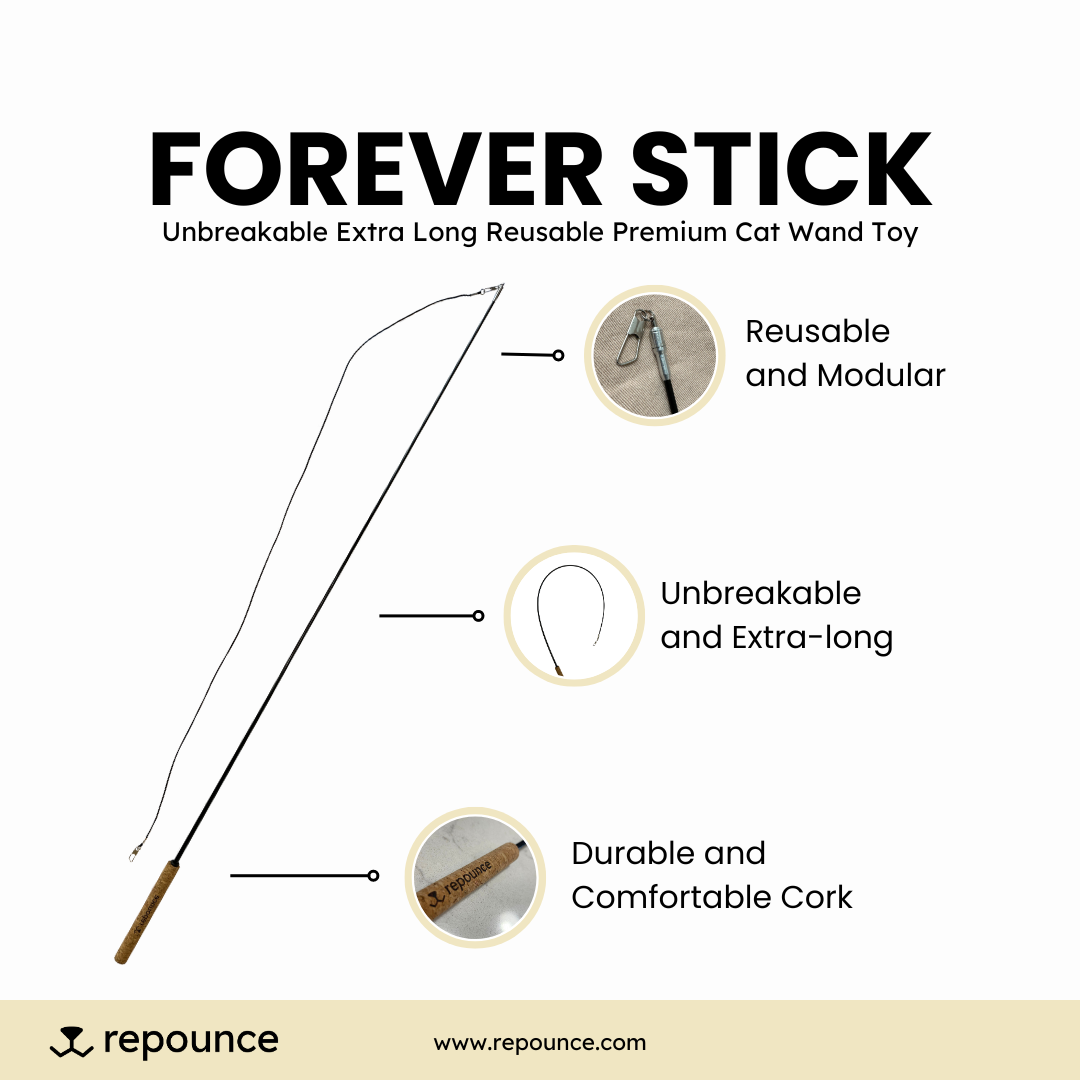 Forever Stick™ - The Unbreakable Cat Wand – repounce