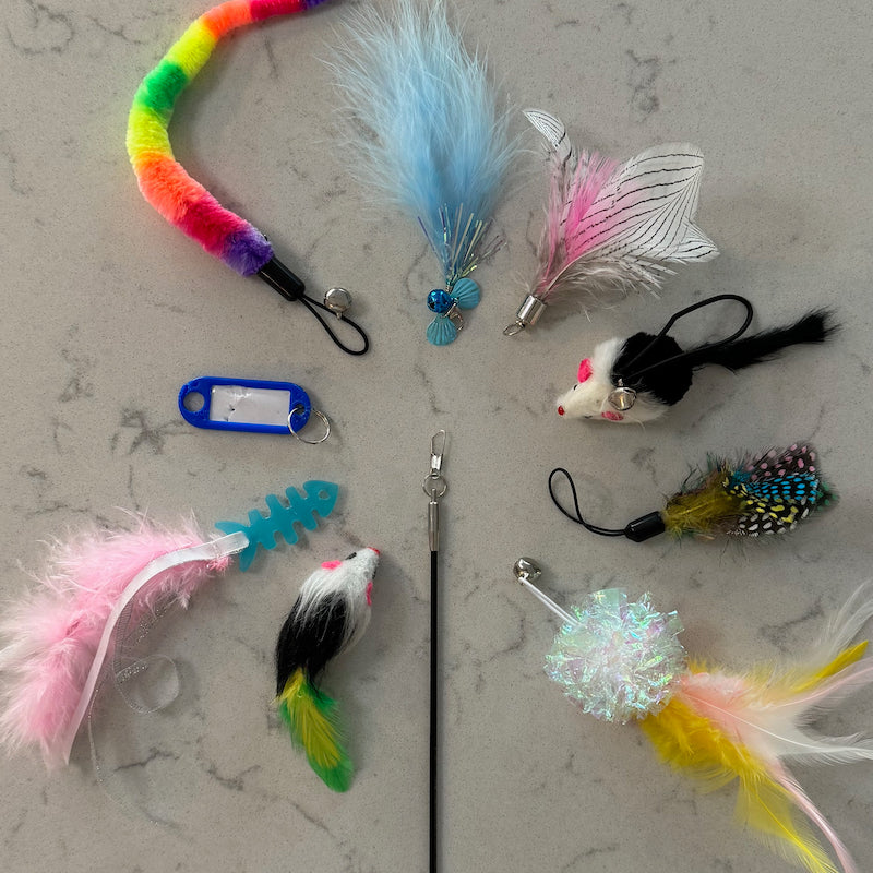 Repounce, Home to the Forever Stick - The Unbreakable Cat Toy Wand